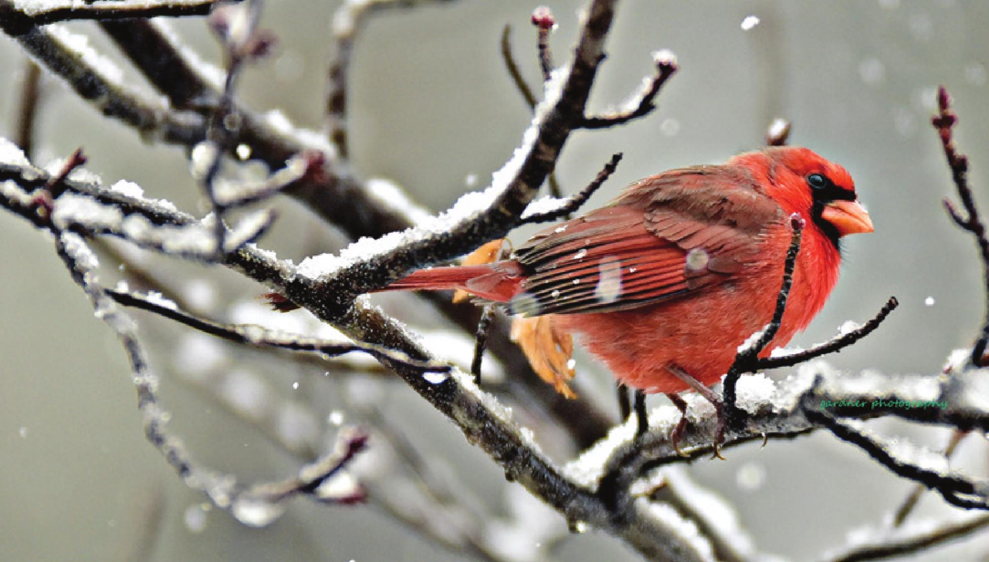 A splendid view of nature