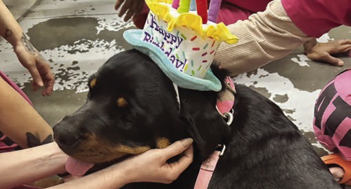 ‘Dolly Parton’ visits OCCJA